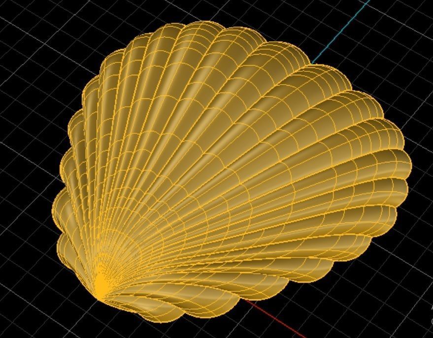 shell free 3D model | CGTrader