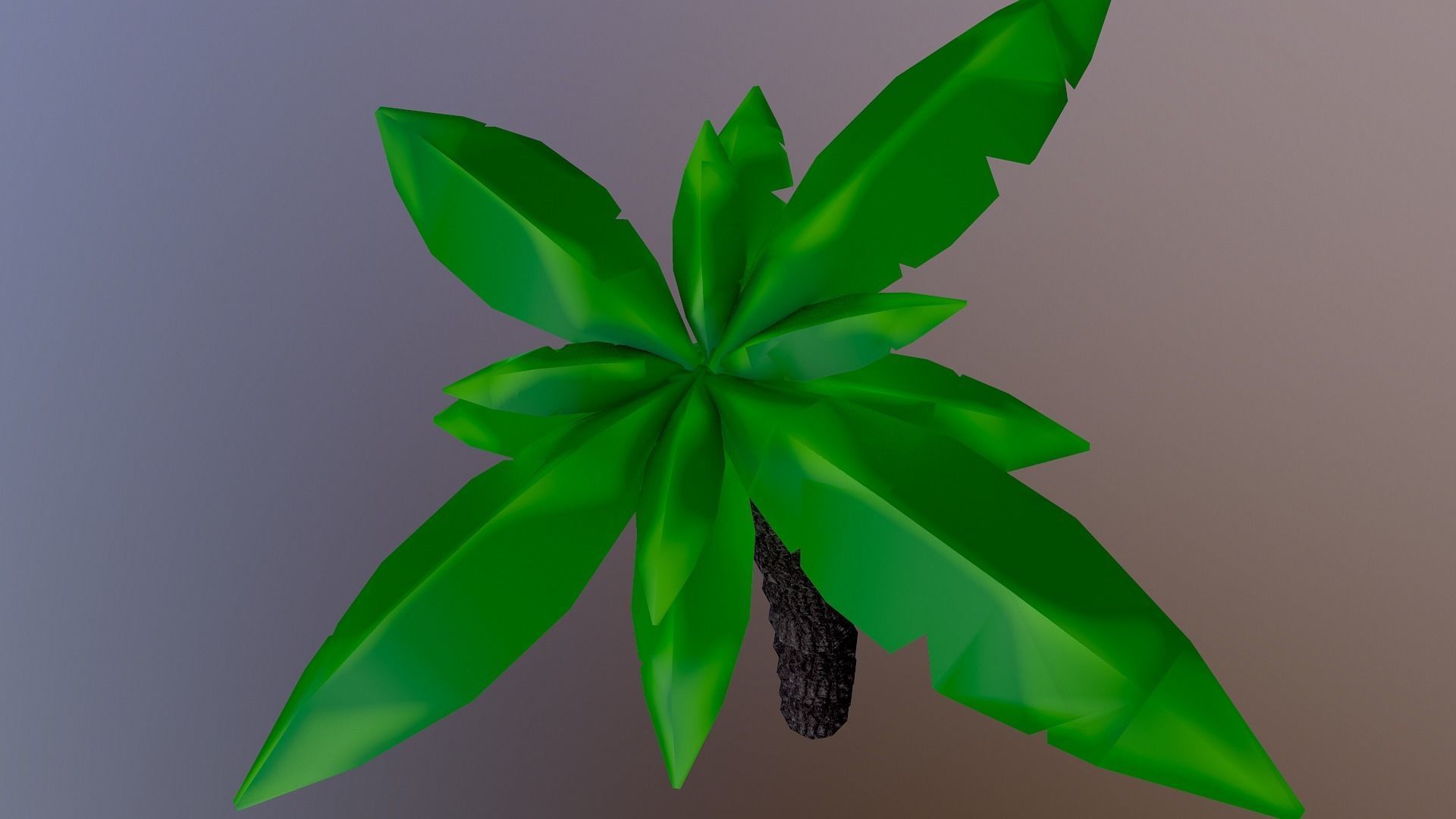 Low Poly Tropical Tree free VR / AR / low-poly 3D model | CGTrader