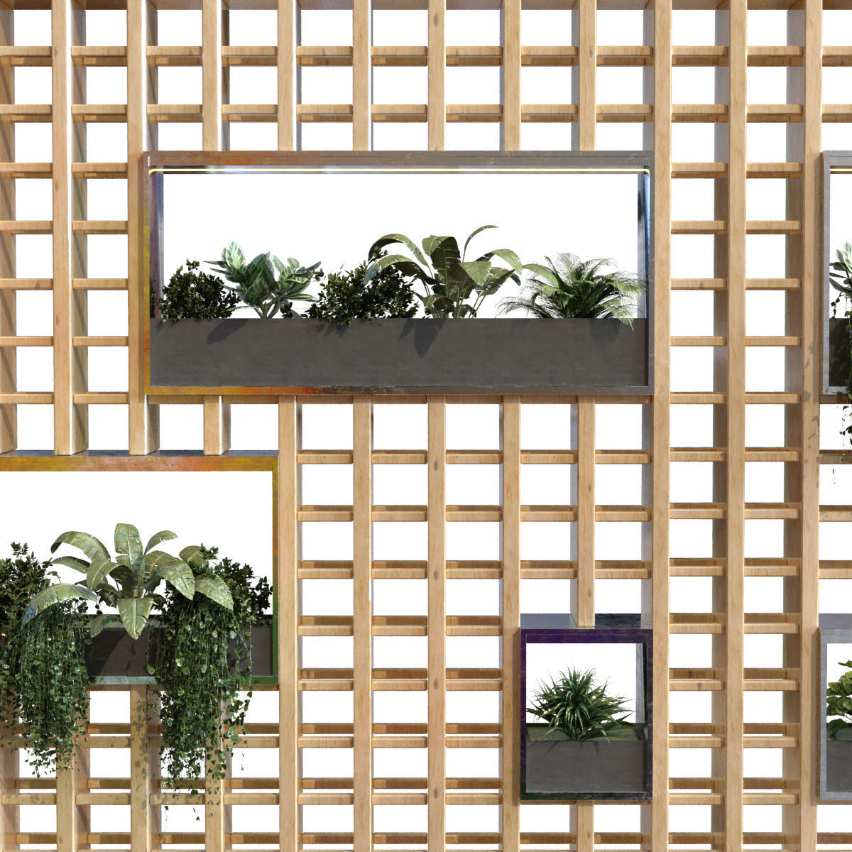 3D model partition plant in box set 042 VR / AR / low-poly | CGTrader