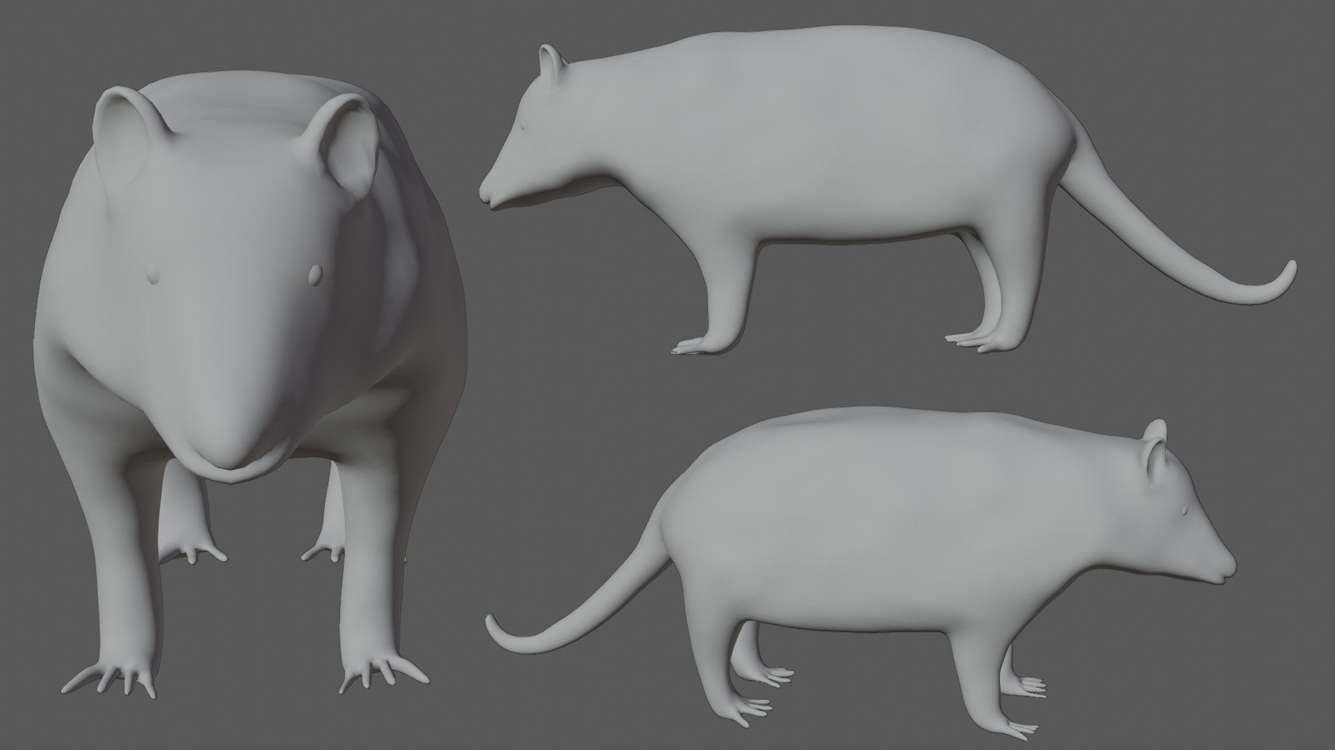3D model Possum opposum VR / AR / low-poly | CGTrader