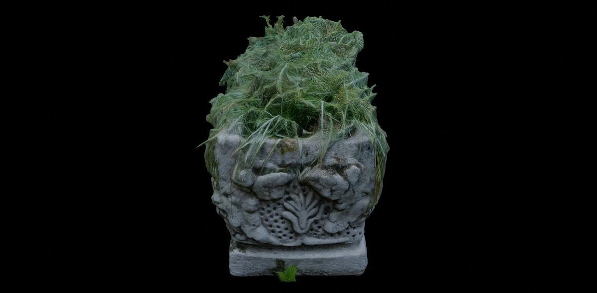 Long Plant Pot 3D Model 3D model | CGTrader