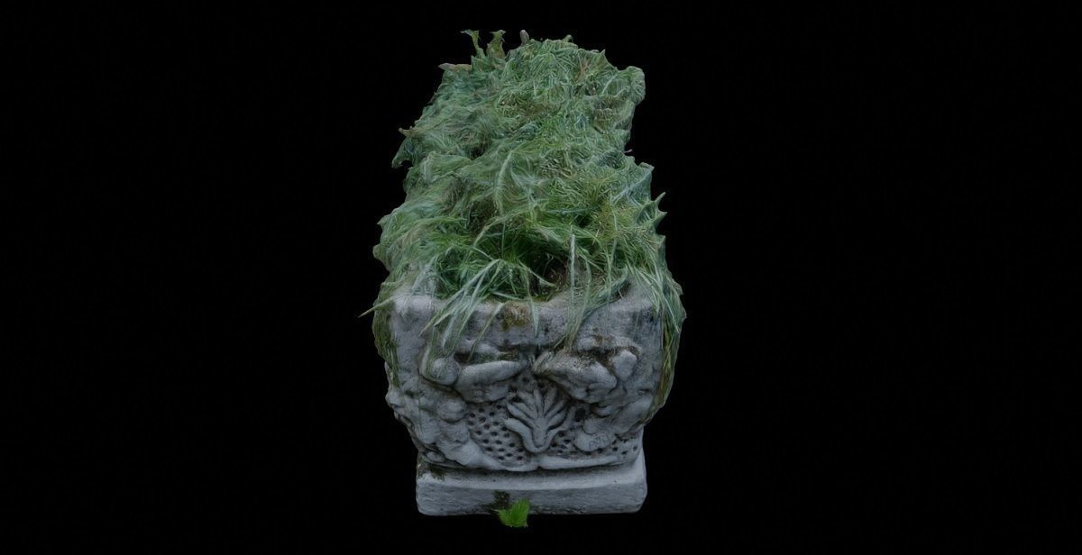 Long Plant Pot 3D Model 3D model | CGTrader