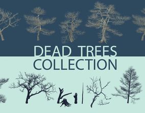 Dry tree 3D Models | CGTrader