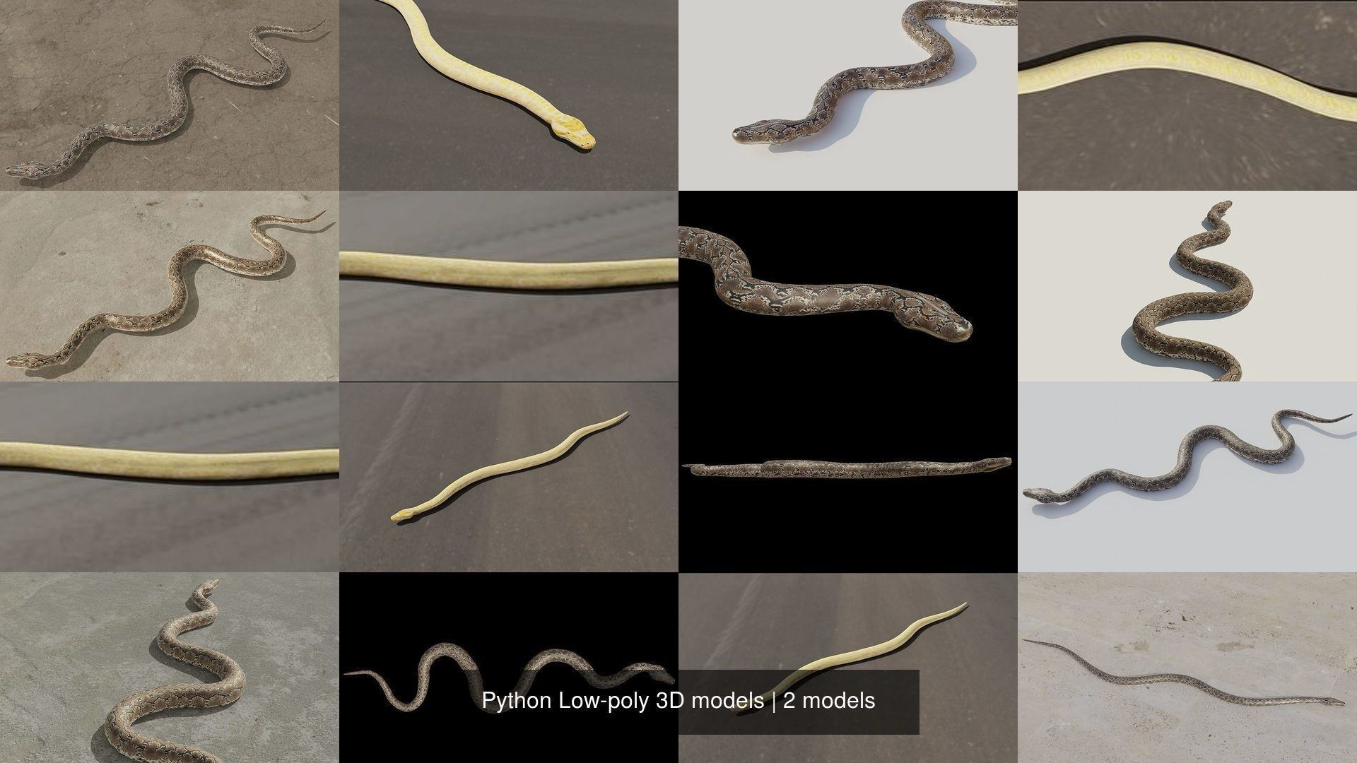 3D Model Collection Python Low-poly 3D models VR / AR / low-poly | CGTrader