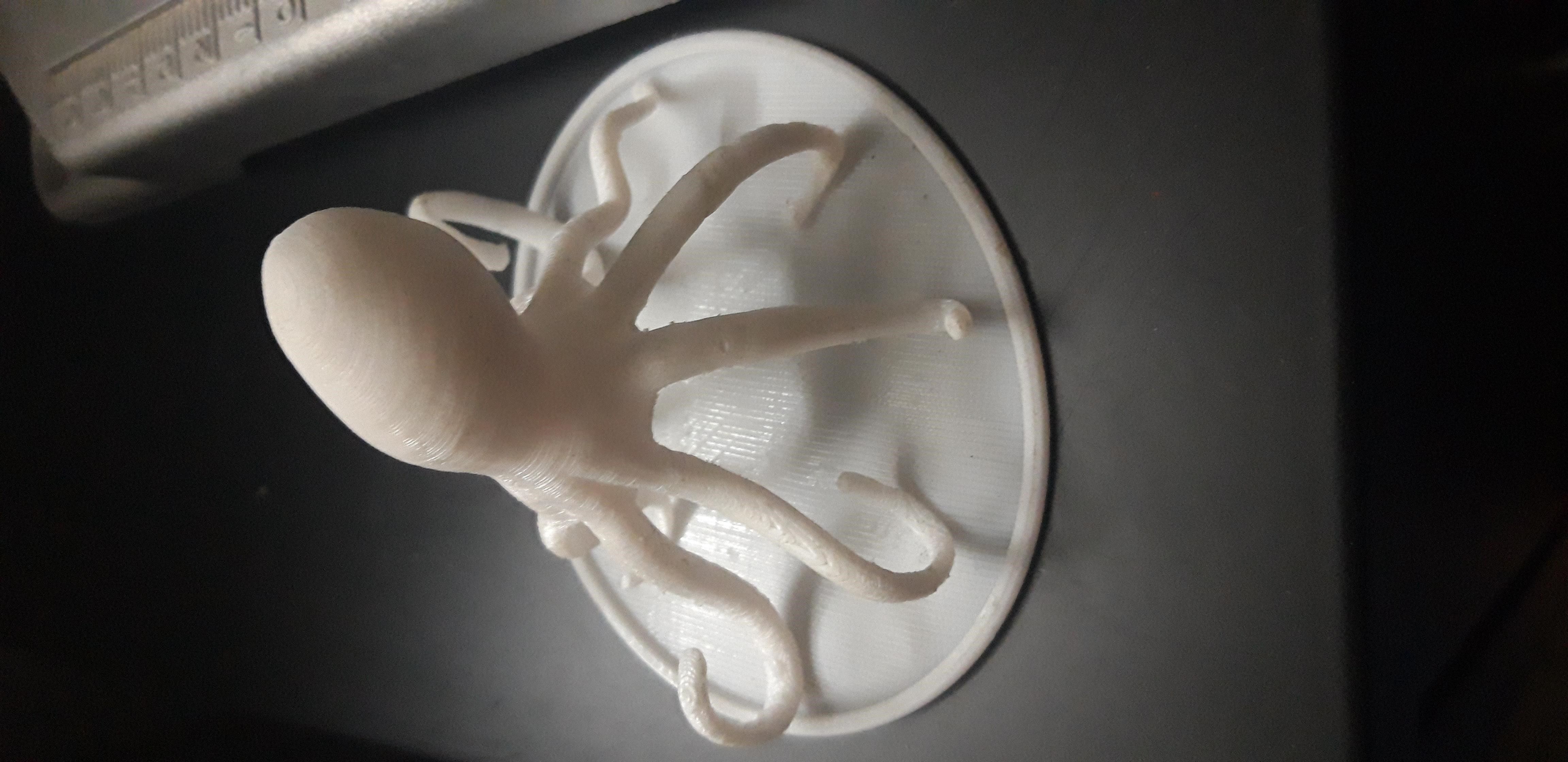 octopus 3D model 3D printable | CGTrader