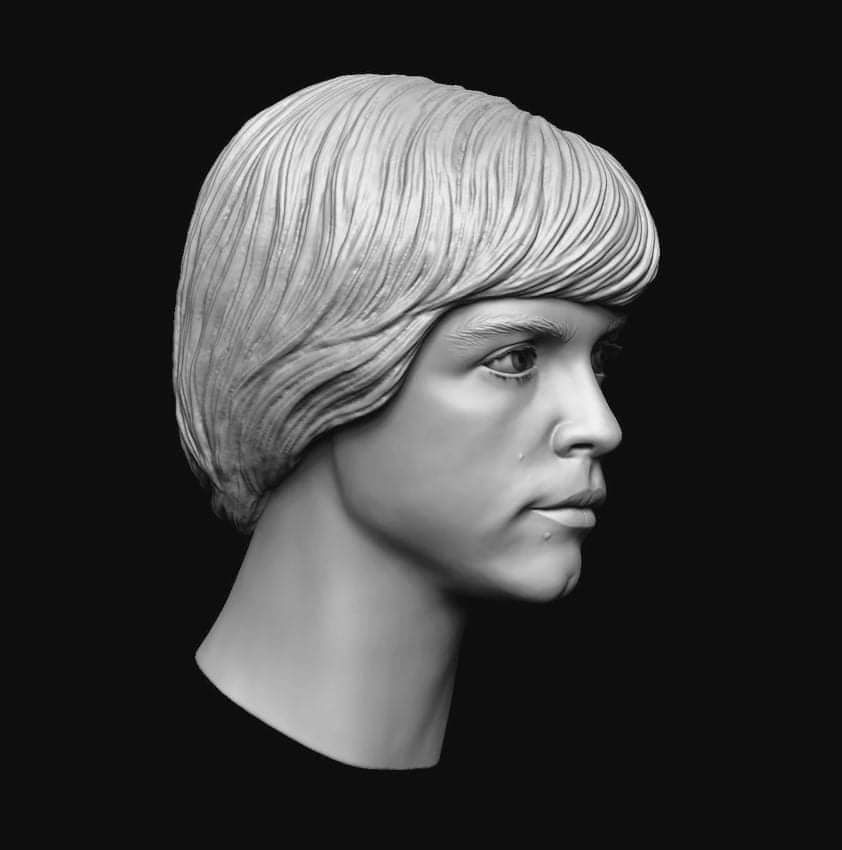 Star Wars Luke Skywalker Head 3D model 3D printable | CGTrader
