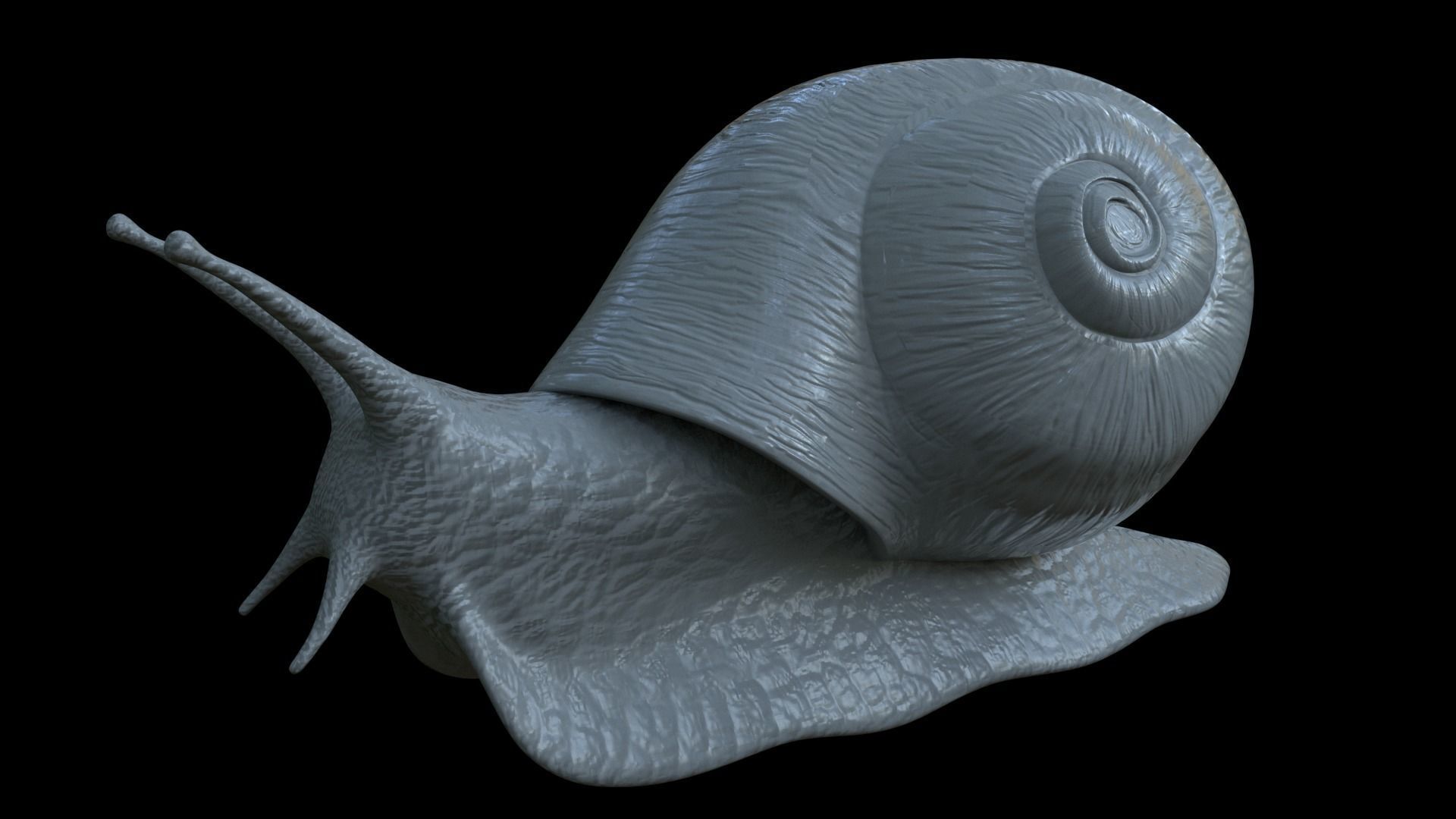 3D model Snail VR / AR / low-poly | CGTrader