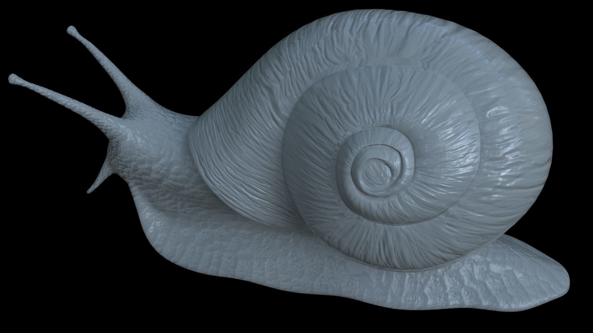 3D model Snail VR / AR / low-poly | CGTrader