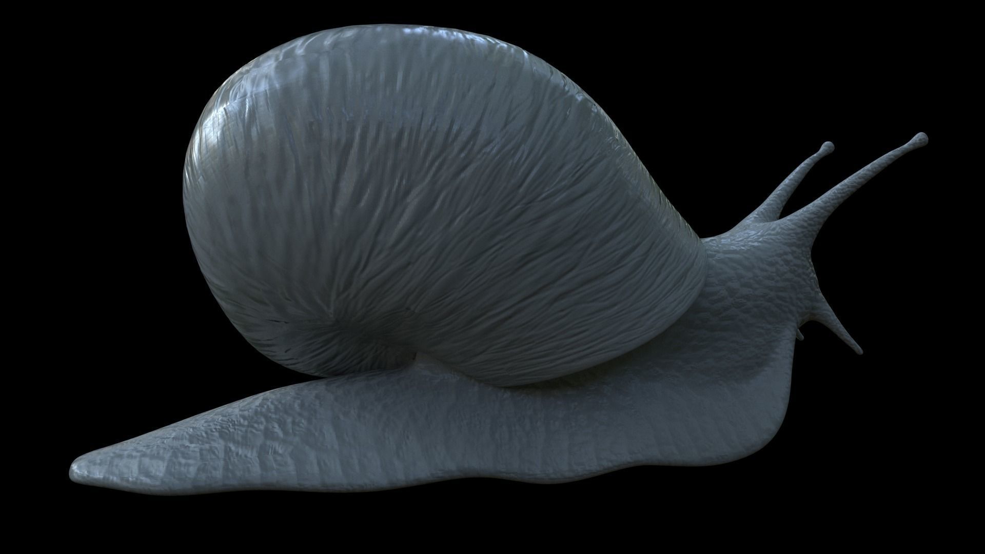 3D model Snail VR / AR / low-poly | CGTrader