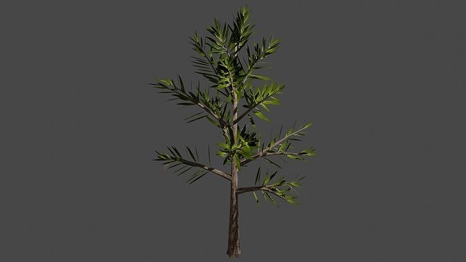 tree with leaf free 3D model | CGTrader