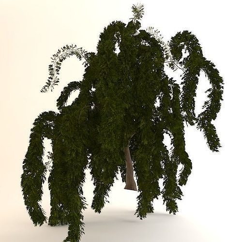 Crazy tree 3D model | CGTrader