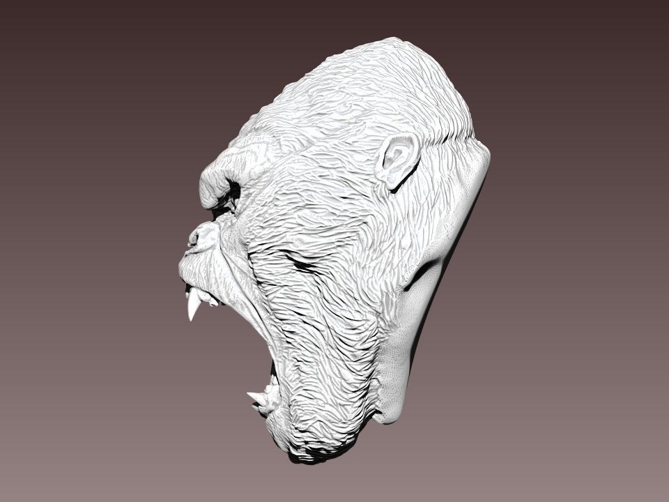 Angry chief boss monkey bust 3D model 3D printable | CGTrader