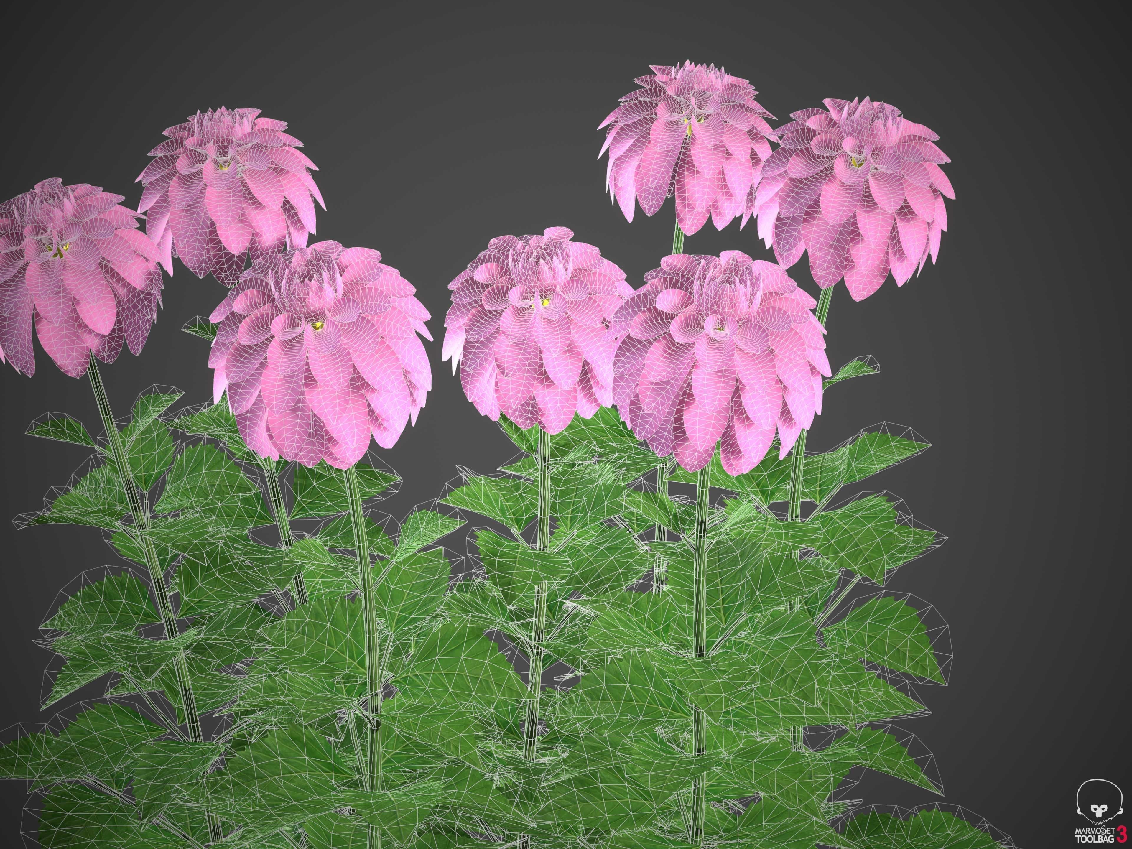 XfrogPlants Dahlia 3D model animated | CGTrader