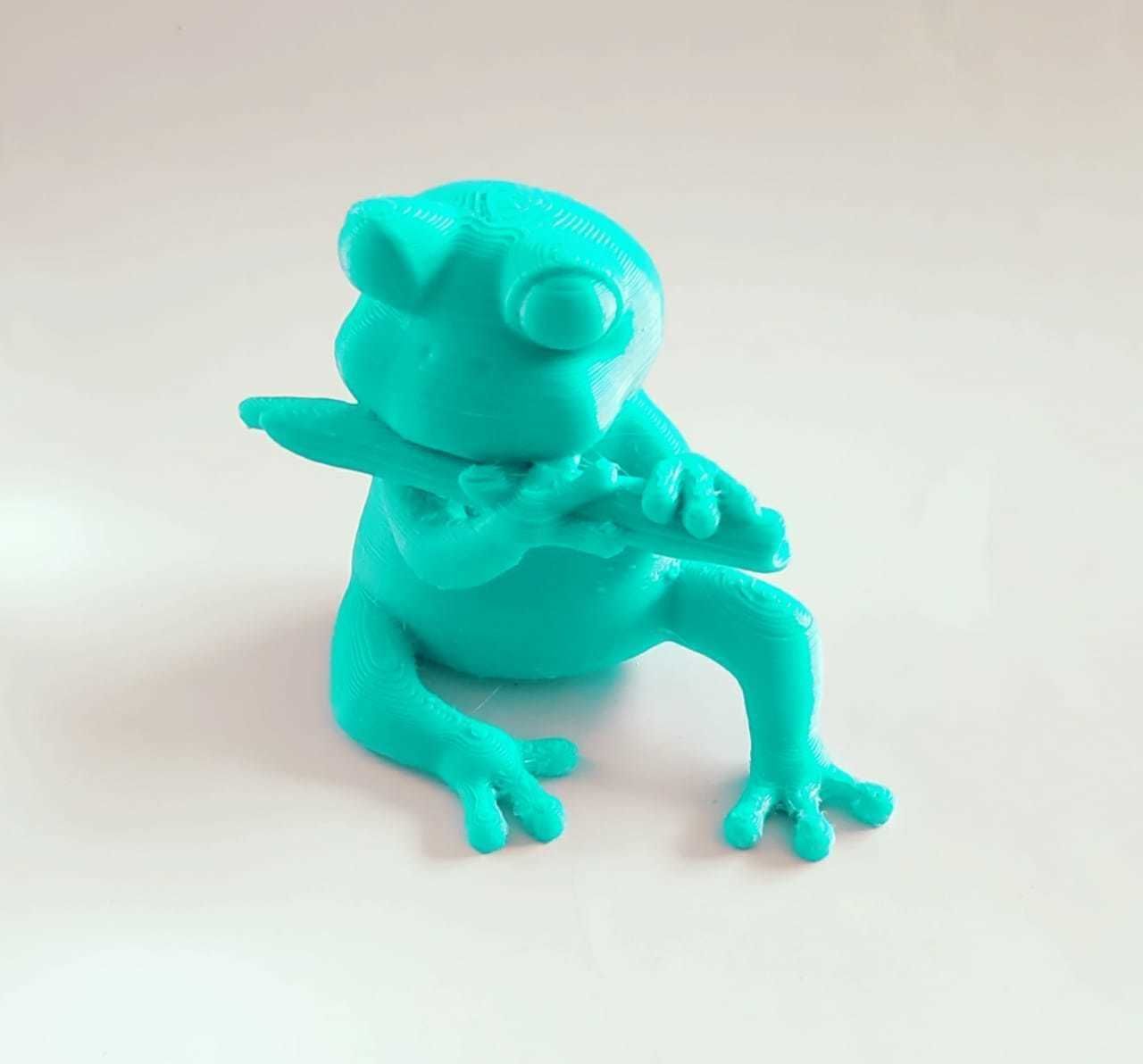 Flute Frog 3D model 3D printable | CGTrader