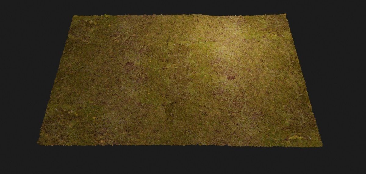 Grass Patch 3D Model 3D model | CGTrader