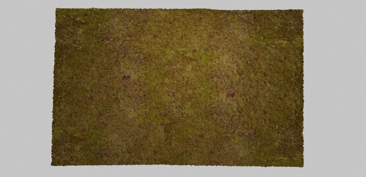 Grass Patch 3D Model 3D model | CGTrader
