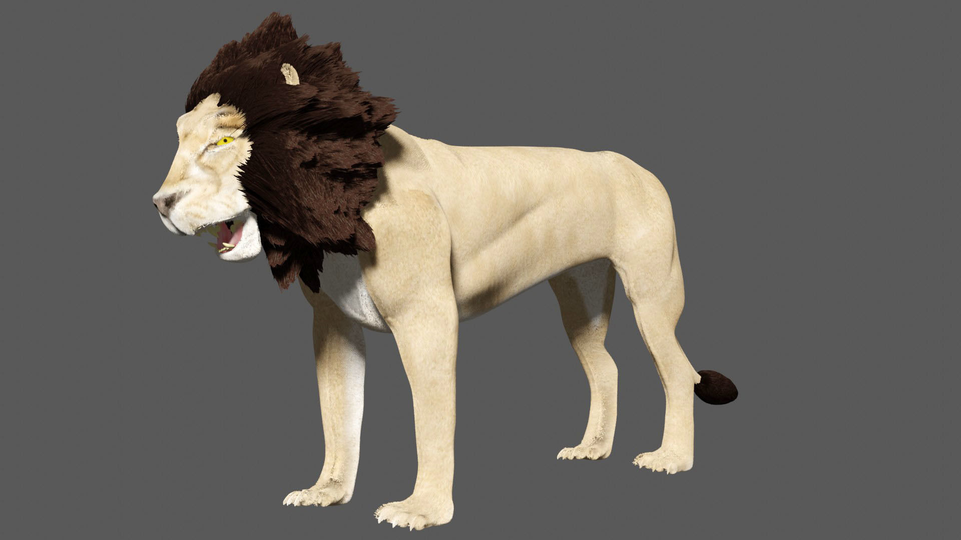 Lion With Basic Rigged 3D model rigged | CGTrader