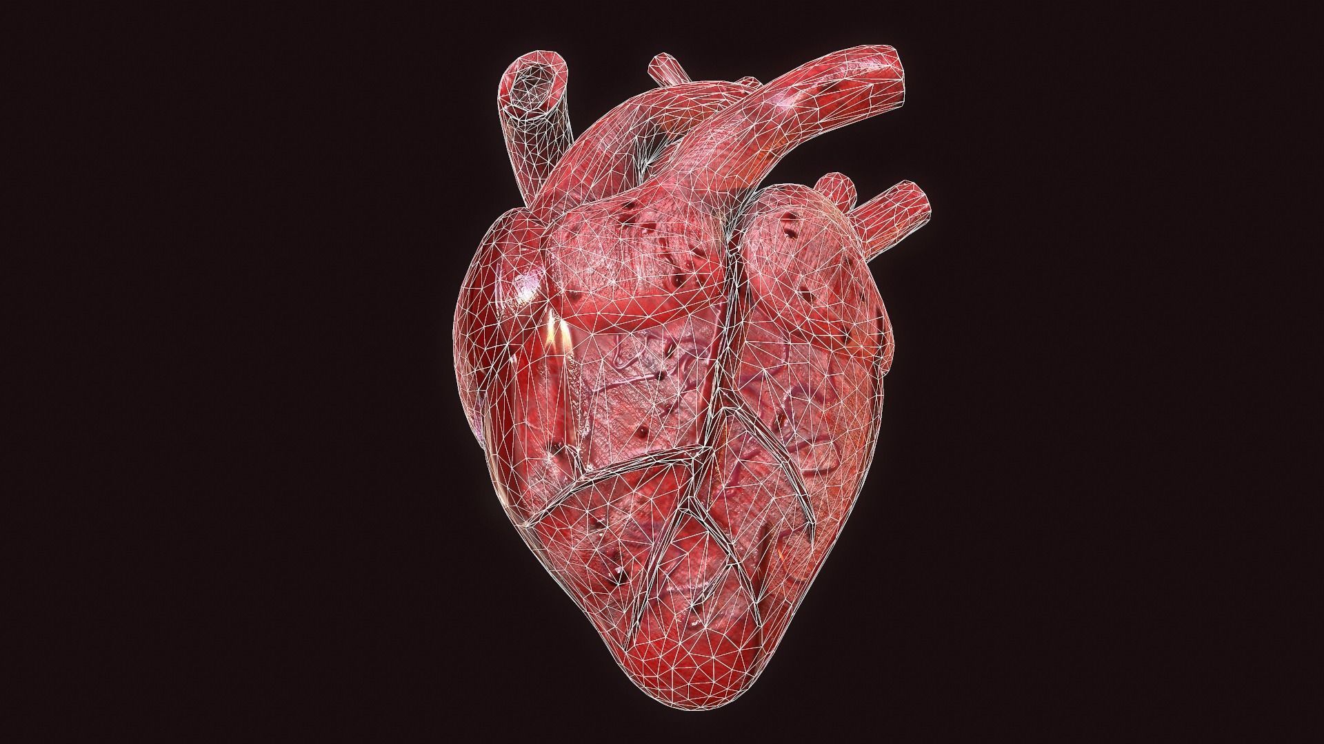 3D model Ripped out human heart VR / AR / low-poly | CGTrader