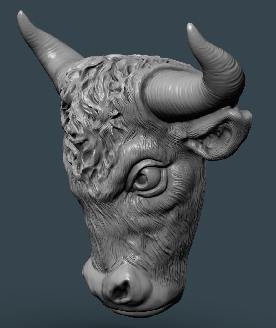 Bull Head 3D model 3D printable | CGTrader