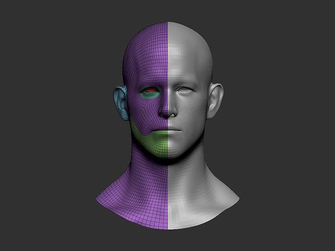 3D model Head basemesh 2 VR / AR / low-poly | CGTrader