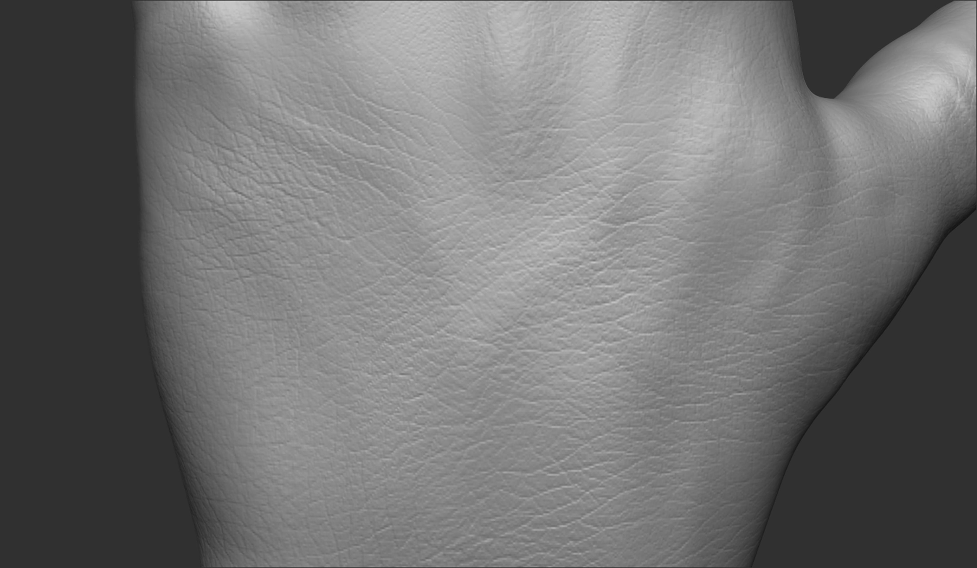 realistic hand model 3D model | CGTrader