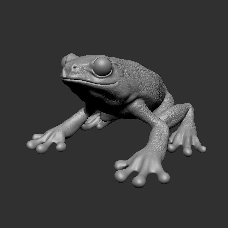 Frog STL for 3D model 3D printable | CGTrader