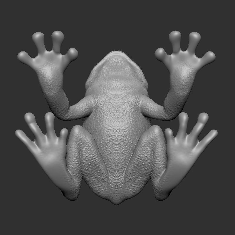 Frog STL for 3D model 3D printable | CGTrader