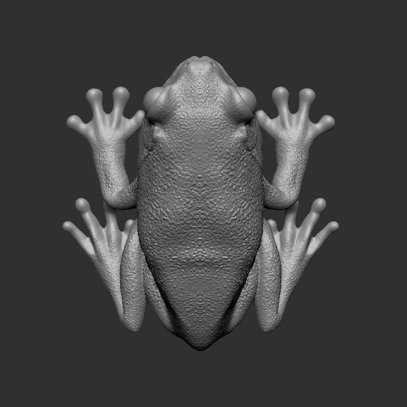 Frog STL for 3D model 3D printable | CGTrader