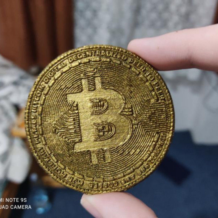 Bitcoin Model Crypto 3D model 3D printable | CGTrader