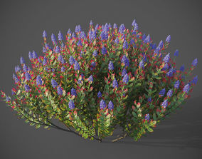 Animated Xfrogplants 3D Models | CGTrader