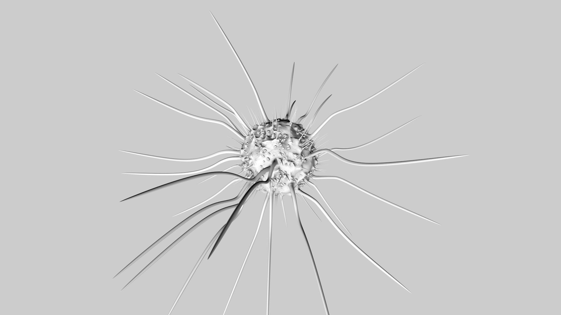 VIRUS microorganism 3D model | CGTrader