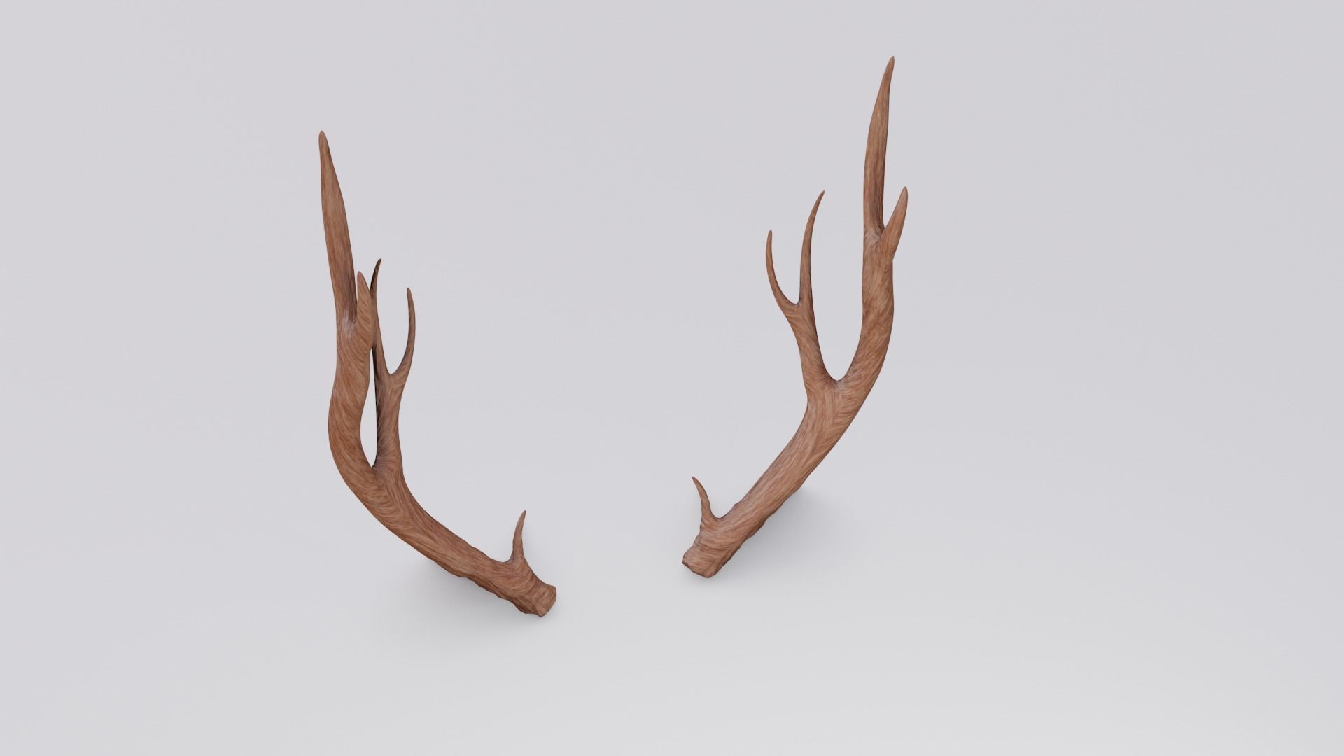 Deer Antlers free 3D model | CGTrader