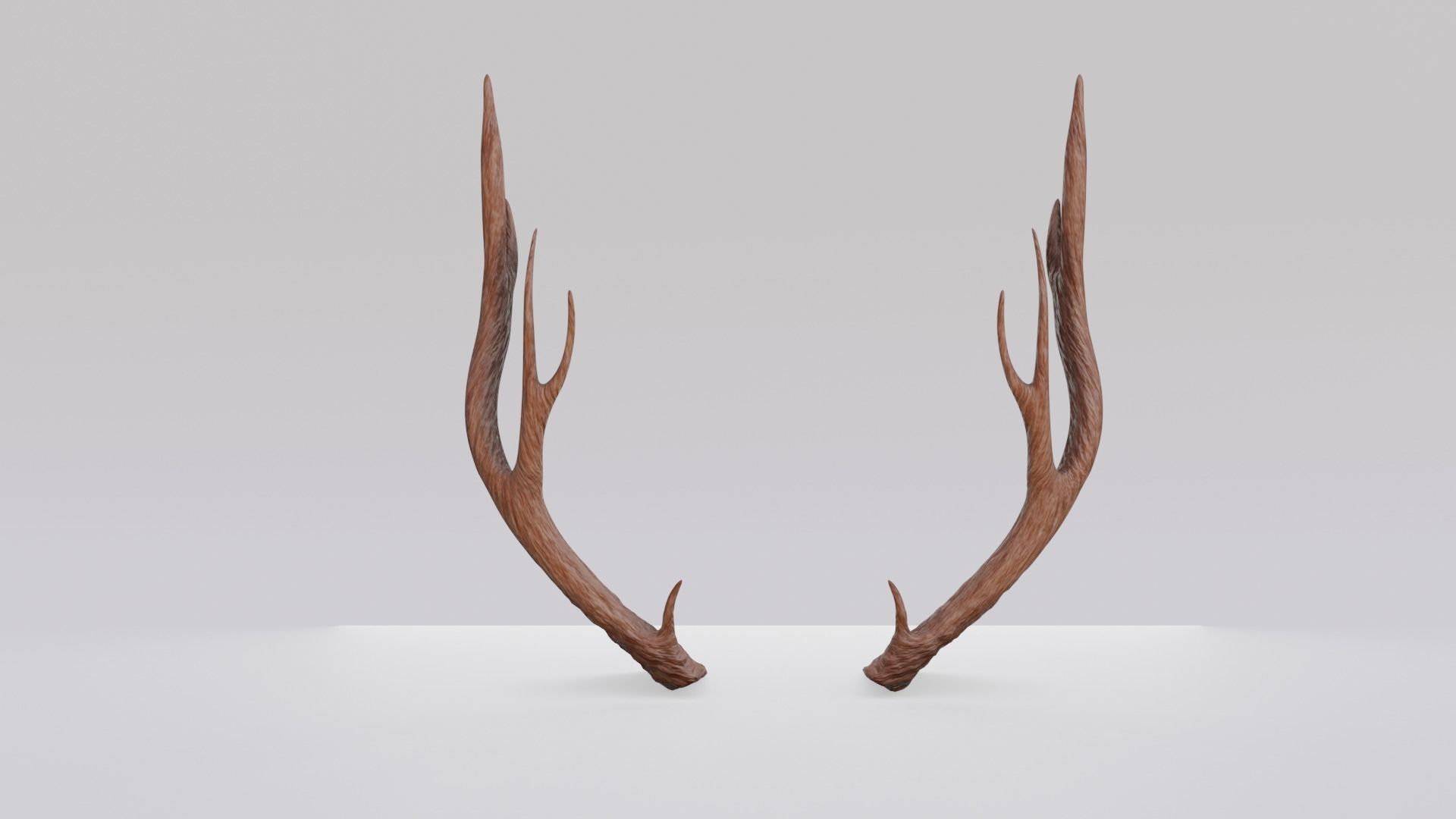 Deer Antlers free 3D model | CGTrader