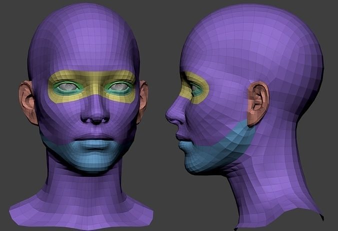 3D model head basemesh Female VR / AR / low-poly | CGTrader