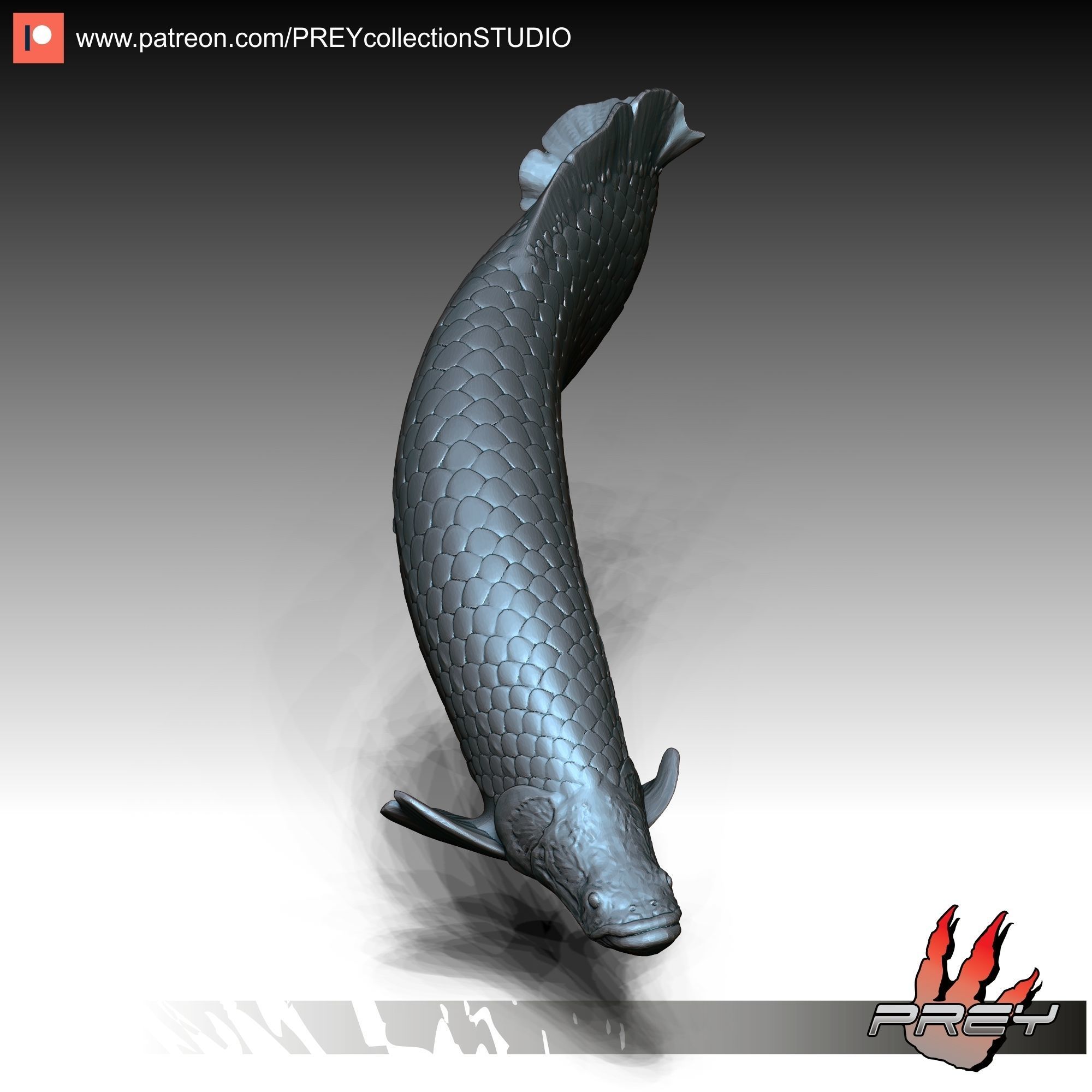 ARAPAIMA 3D model 3D printable | CGTrader