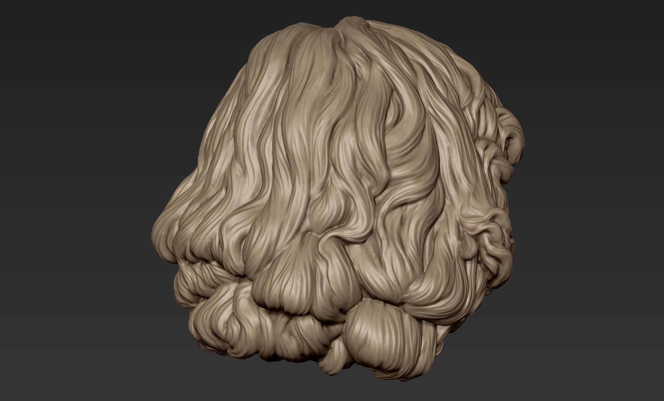 Hair 43 3D model | CGTrader