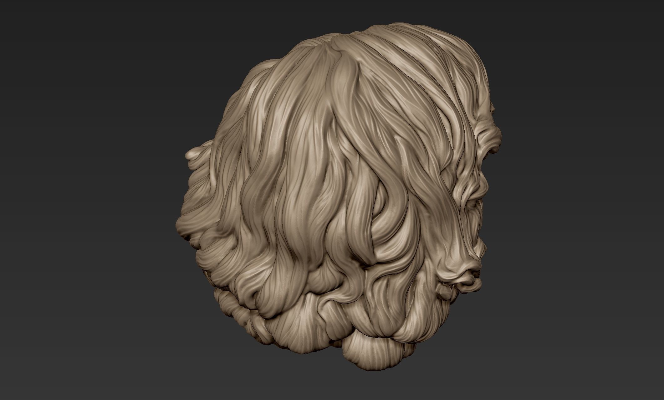 Hair 43 3D model | CGTrader