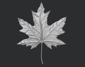 Maple 3D Printing Models | CGTrader