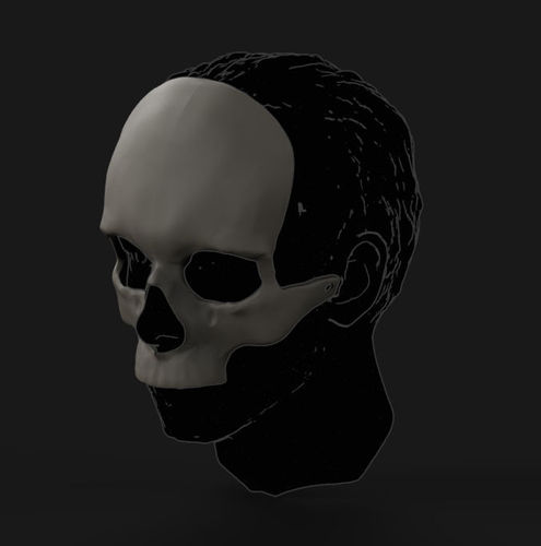 Skull mask free 3D Model 3D printable STL | CGTrader.com
