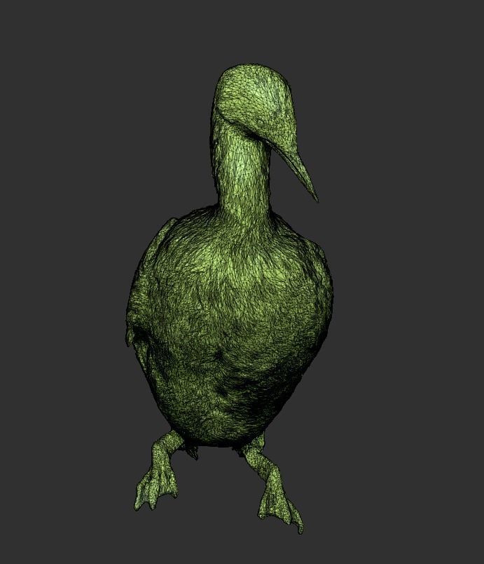 3D model Common loon 08 VR / AR / low-poly | CGTrader