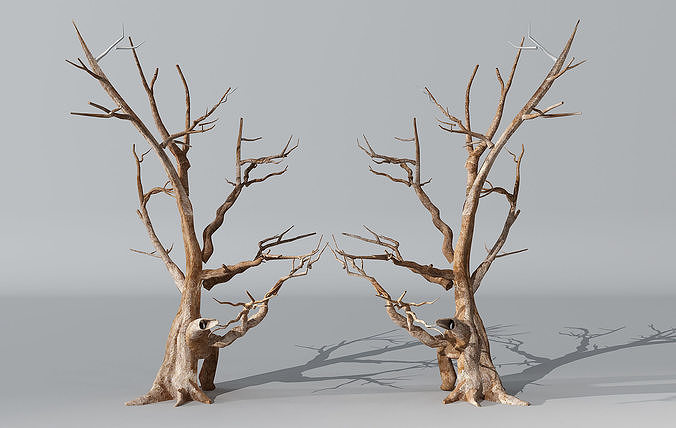 Withered tree 3D model | CGTrader