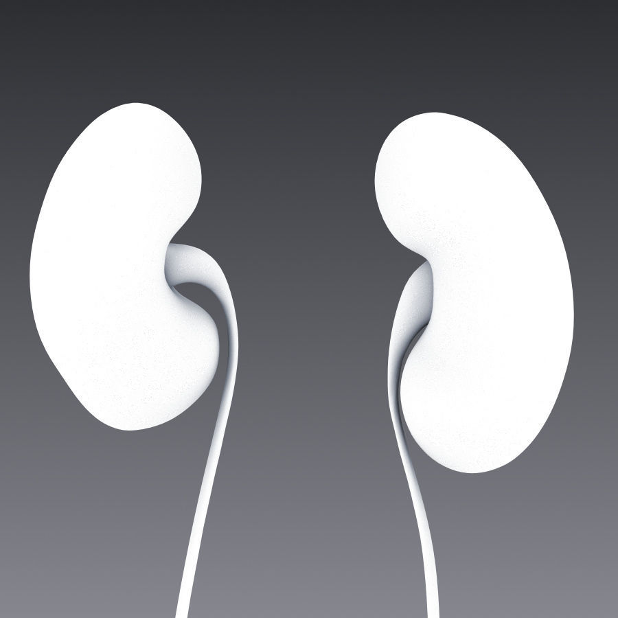 3D model Human anatomy Animated High Poly and lowpoly Unity included VR ...