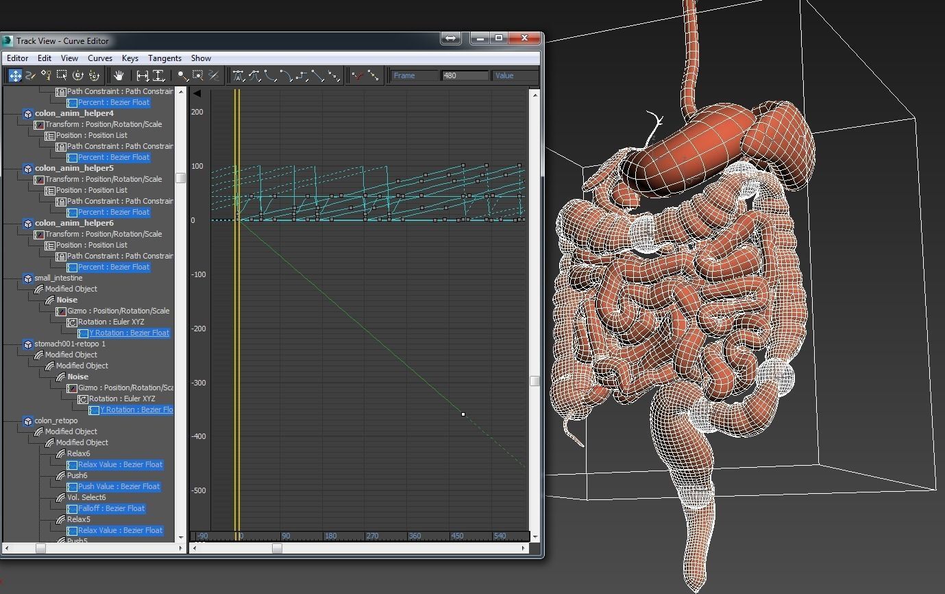3D model Digestive system Animated VR / AR / low-poly rigged animated ...