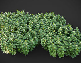 Animated Xfrogplants 3D Models | CGTrader