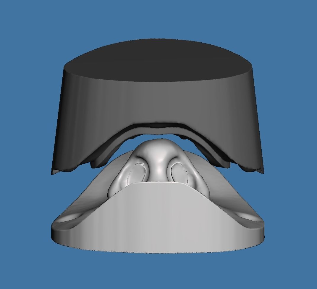 Nose prosthesis mold 3D model 3D printable | CGTrader