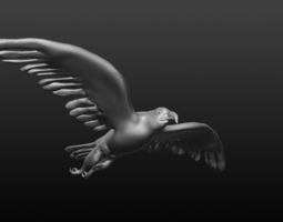 Aquila 3D Models | CGTrader