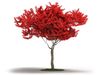 Red Leafed Tree 3D model | CGTrader