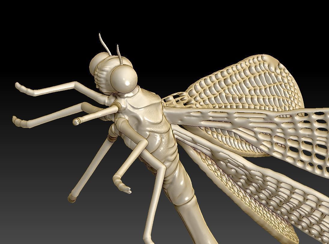 Dragonfly 3D model 3D printable | CGTrader