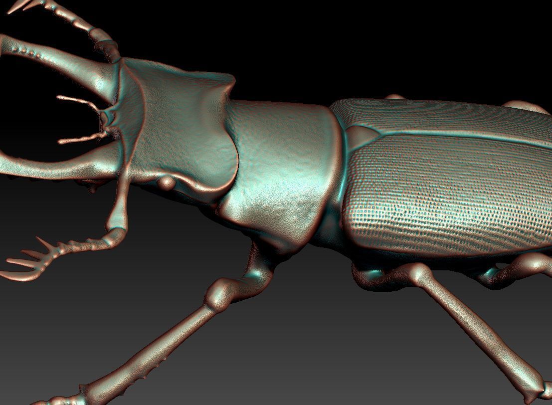 Stag beetle 3D model 3D printable | CGTrader