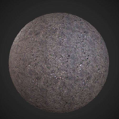 PBR earth material with pine needles Texture | CGTrader